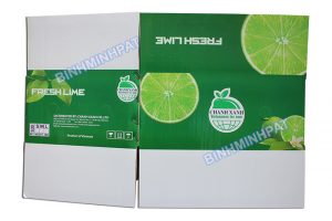 Corrugated Lemon Packaging Box | Binh Minh Packaging